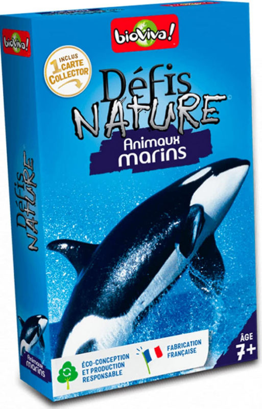 15 jeux sur le thème de l'océan - Kids & Family Friendly